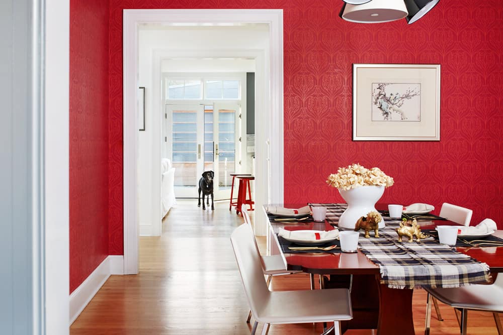 Urban Cottage | Lawlor Architects